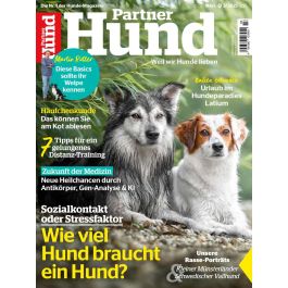 Partner Hund zum Testen